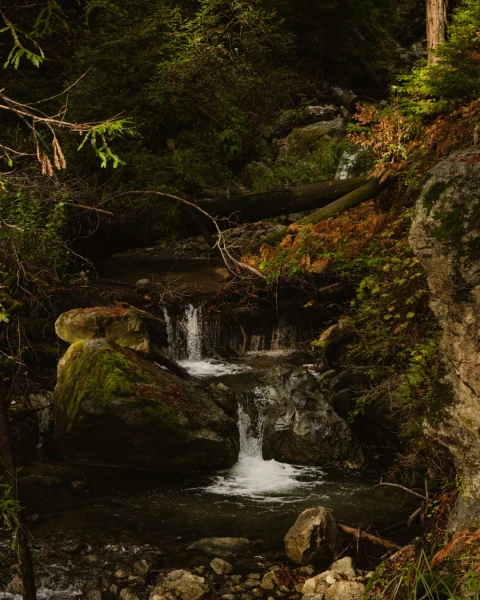 24 Creative Photography Ideas to Inspire Your Next Photo Project | FOTO